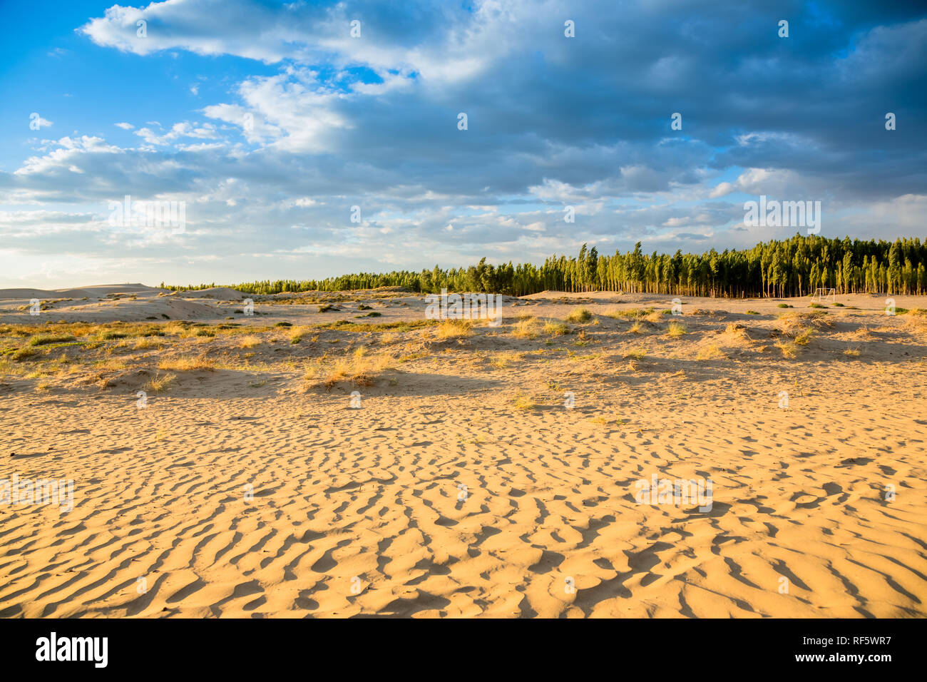 China extreme hitze -Fotos und -Bildmaterial in hoher Auflösung – Alamy
