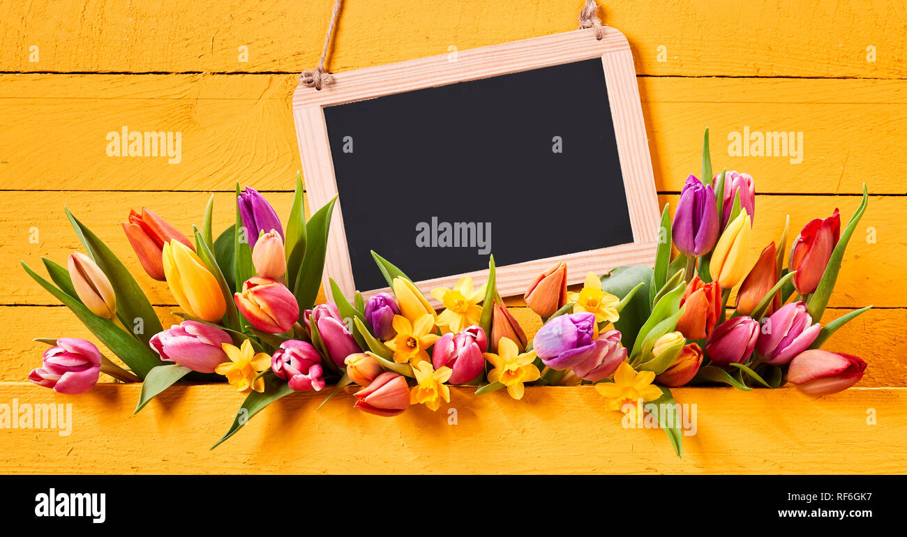 Farbenfrohe Gelbe Feder oder Ostern Banner mit einer Linie der Frische ...