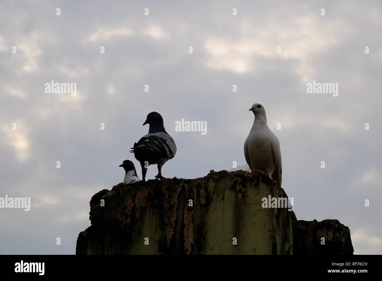 Judentum lebensstil -Fotos und -Bildmaterial in hoher Auflösung – Alamy