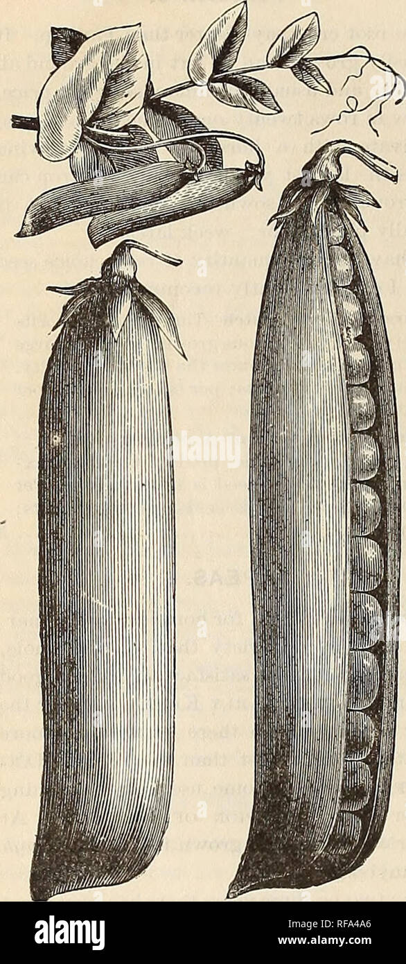 Josef fuhr mit dem familienhandel fort -Fotos und -Bildmaterial in ...