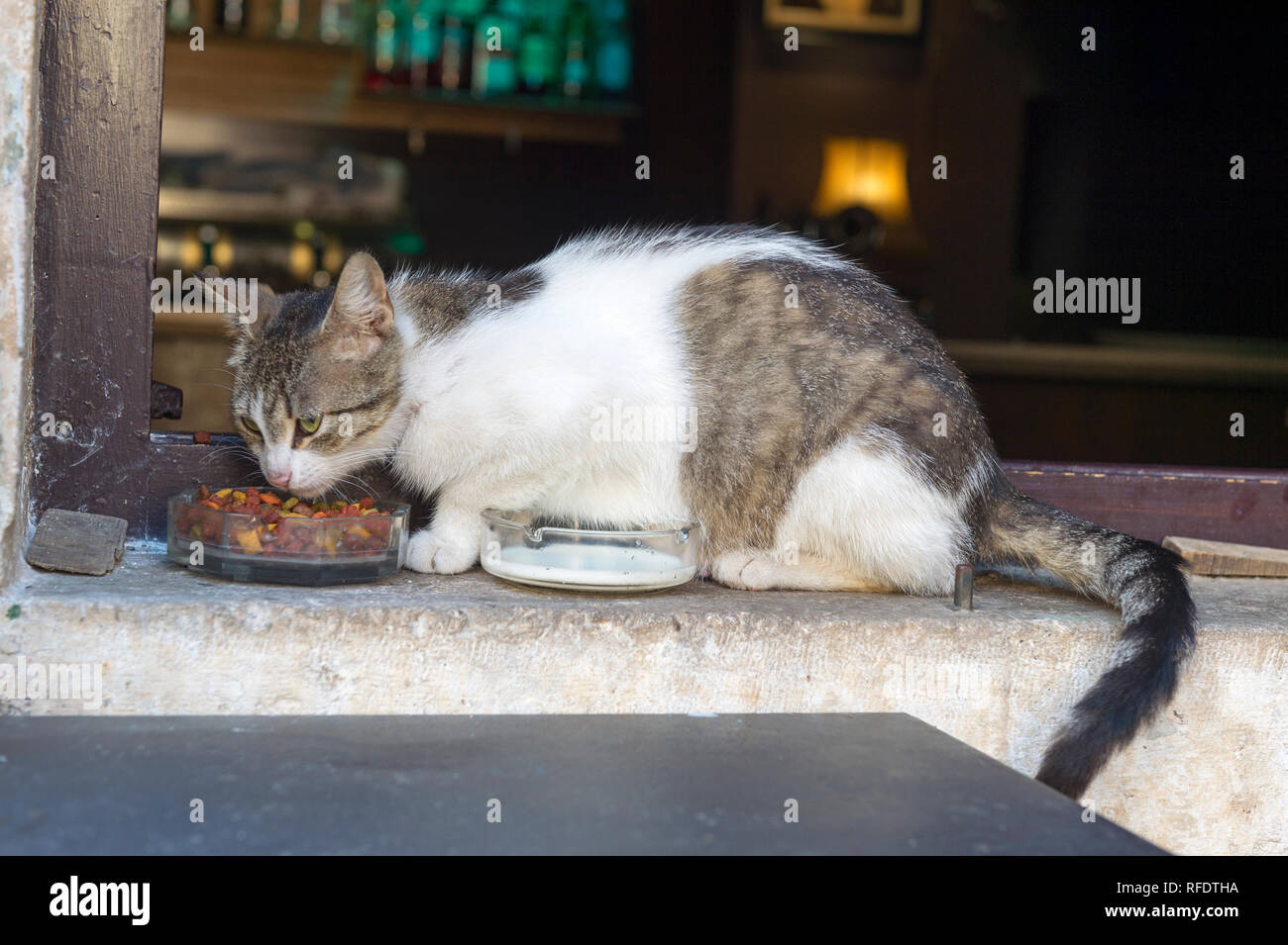 Katzenfutter Essen Stockfotos und -bilder Kaufen - Alamy