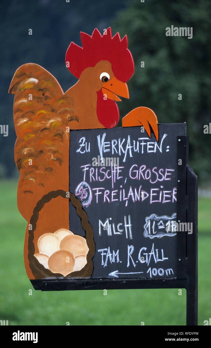 Freiland eier schweiz -Fotos und -Bildmaterial in hoher Auflösung – Alamy