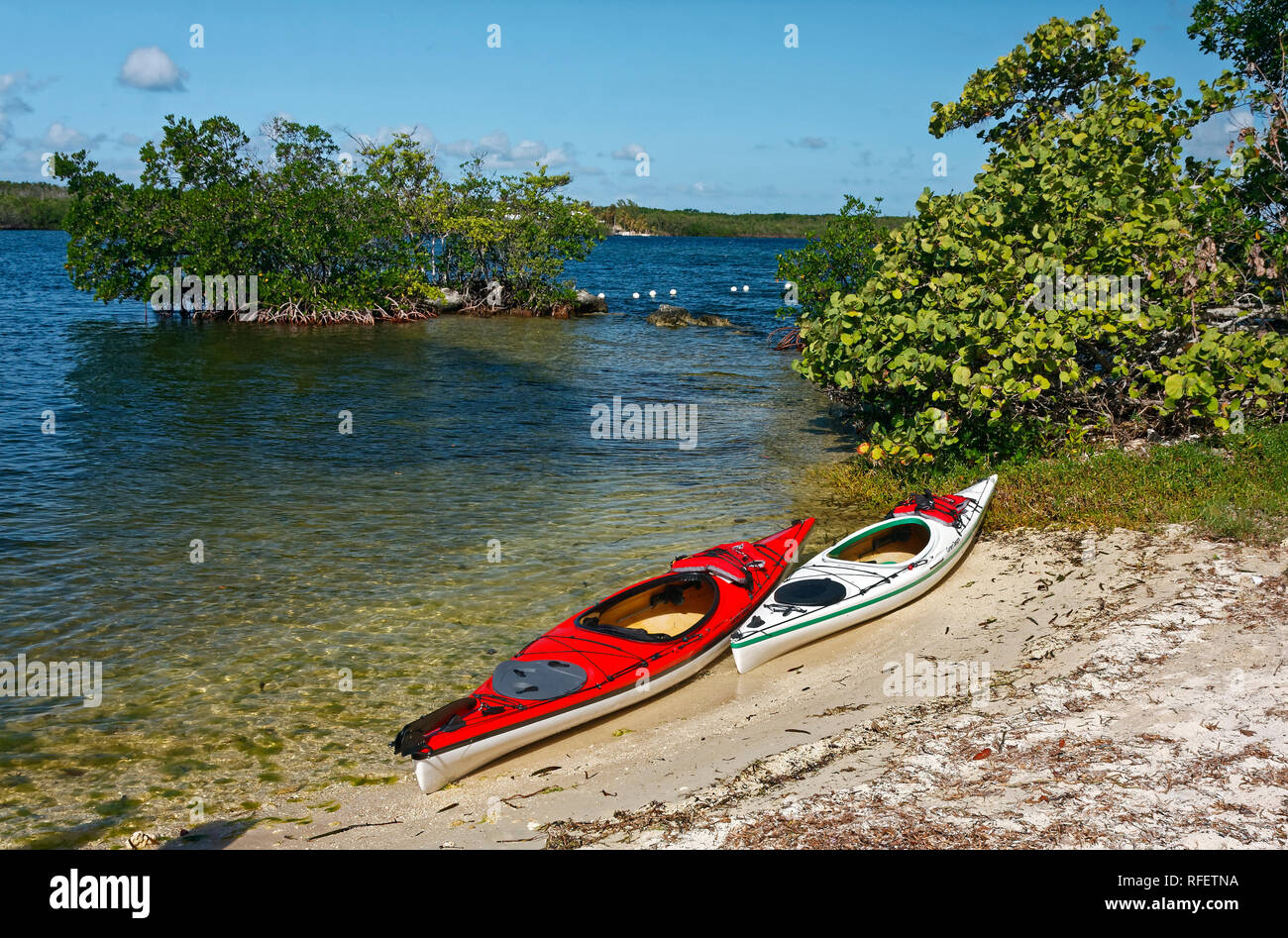 Pennekamp coral reef state park -Fotos und -Bildmaterial in hoher ...