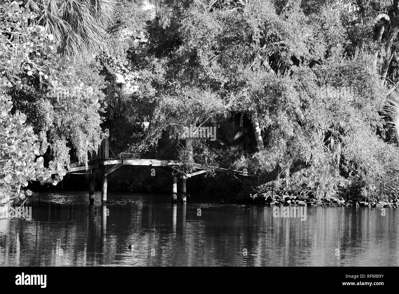 Tropische zone -Fotos und -Bildmaterial in hoher Auflösung – Alamy