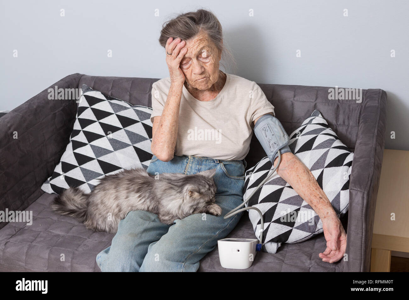 Katze auf dem sofa arm -Fotos und -Bildmaterial in hoher Auflösung – Alamy