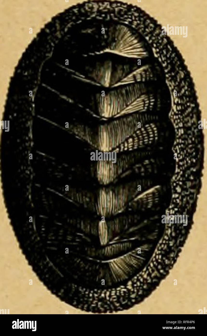 Gebogenes geripptes rohr -Fotos und -Bildmaterial in hoher Auflösung ...