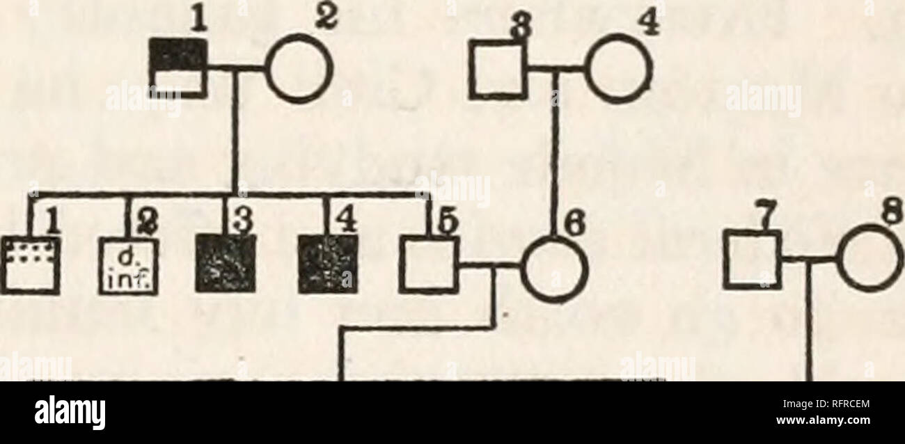 . Der Carnegie Institution in Washington Publikation. SAUMAREZ. 197 ...