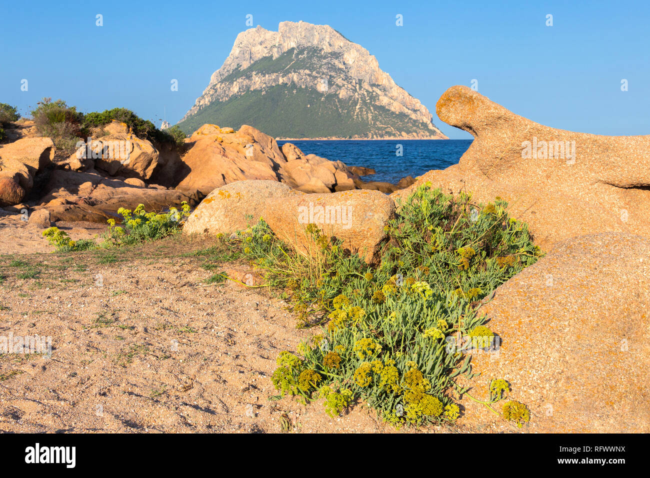 Tavolara hintergrund -Fotos und -Bildmaterial in hoher Auflösung – Alamy