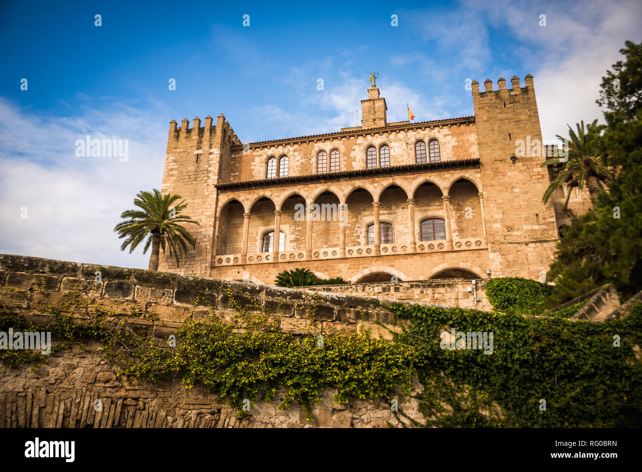 Lonja de palma -Fotos und -Bildmaterial in hoher Auflösung – Alamy