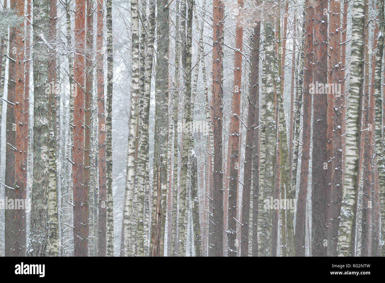 Natur Übernommen Stockfotos und -bilder Kaufen - Alamy