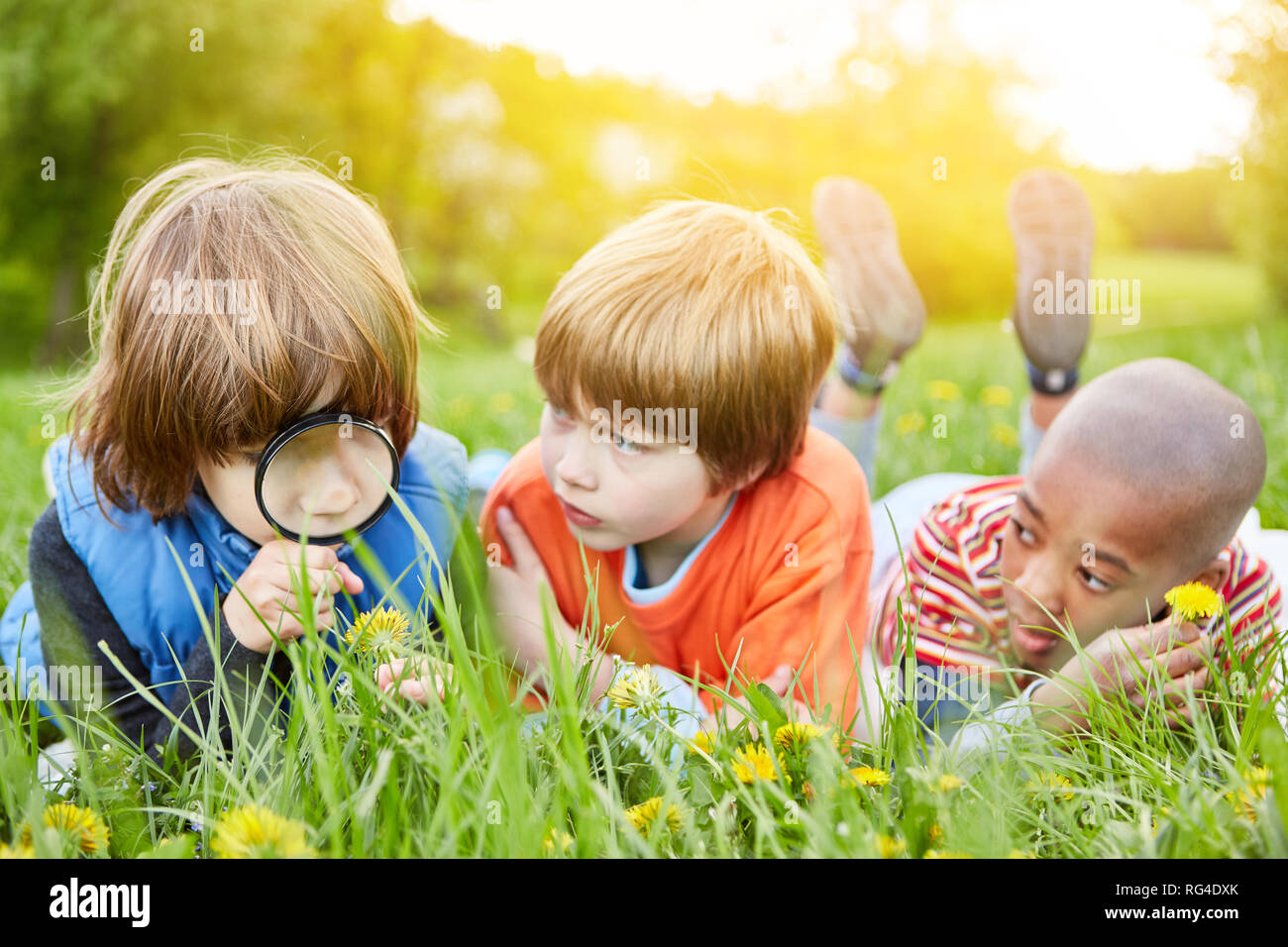 Drei Kinder mit Lupe spielen Explorer in der Natur vom Kindergarten ...