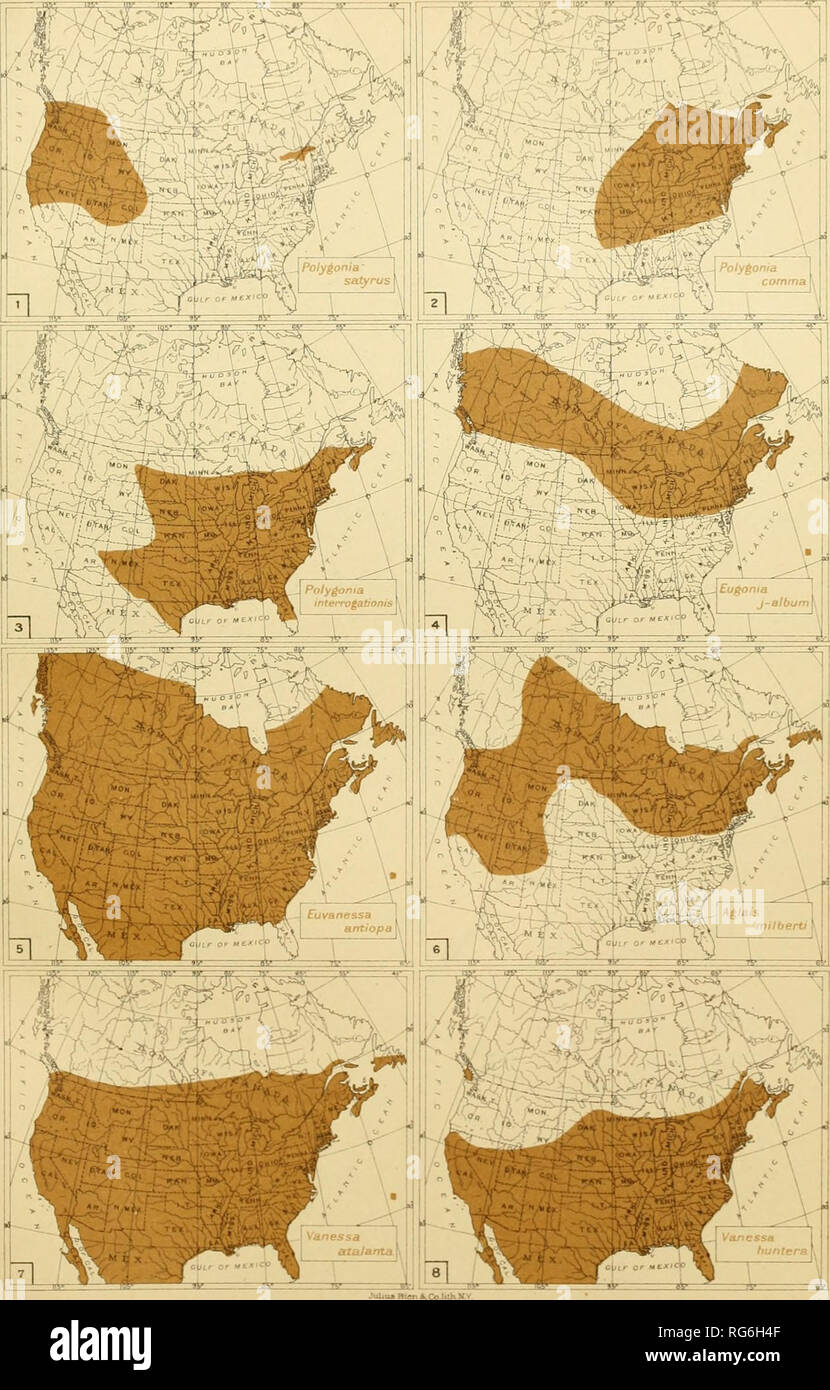 . Die Schmetterlinge der östlichen Usa Und Kanada: mit besonderem Bezug ...