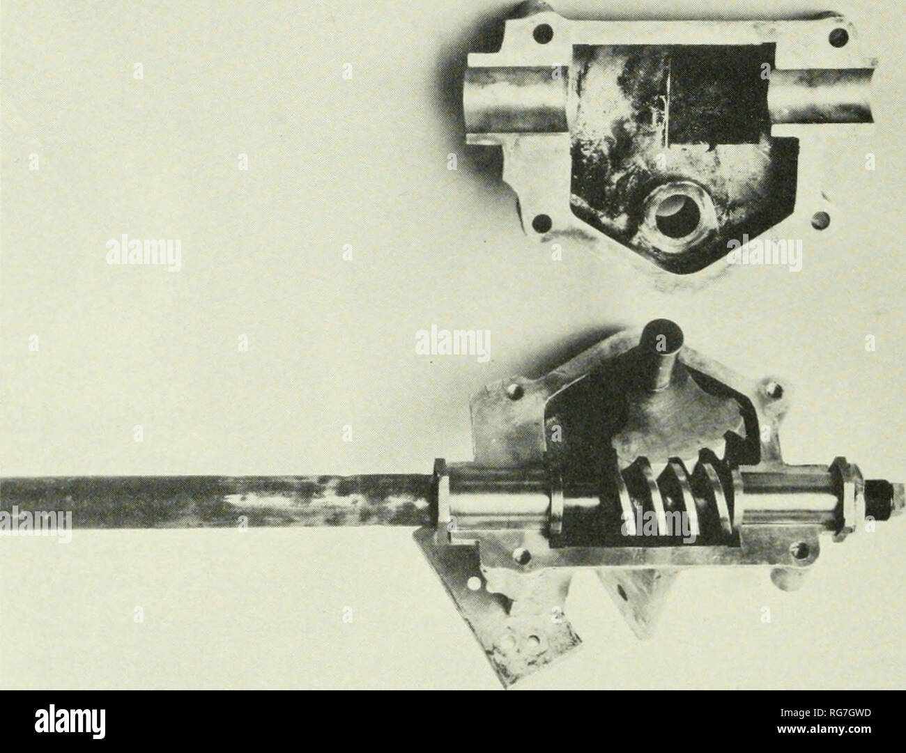 . Bulletin - United States National Museum. Wissenschaft. Abbildung 75 ...