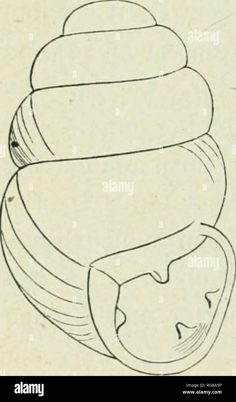 Leicht gerippte wand -Fotos und -Bildmaterial in hoher Auflösung – Alamy
