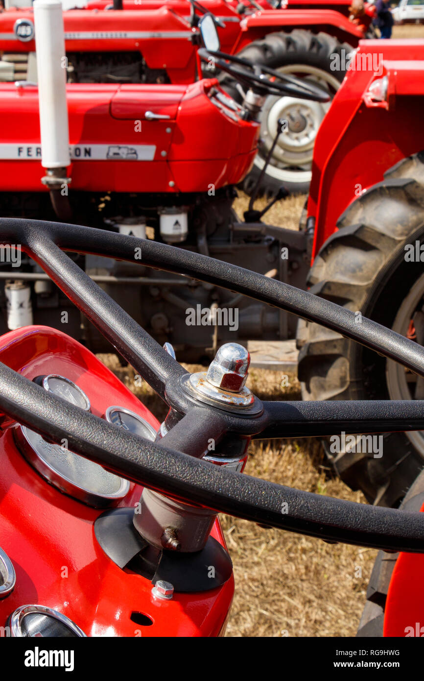 Restaurierter massey ferguson traktor -Fotos und -Bildmaterial in hoher ...