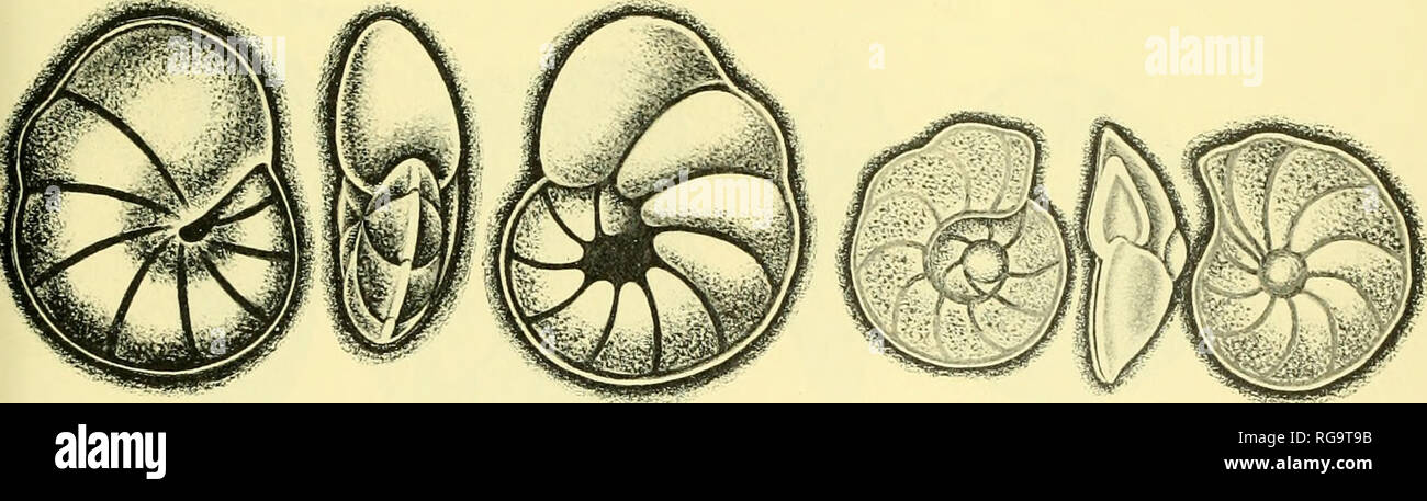 8 c columbia university -Fotos und -Bildmaterial in hoher Auflösung – Alamy