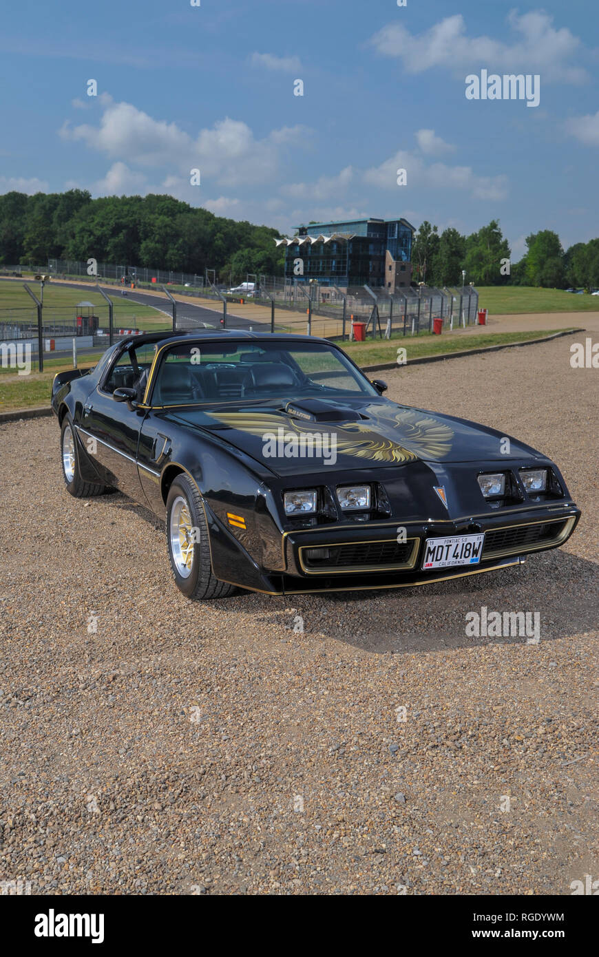 1980 Pontiac Trans Am - Classic American Muscle Car und Verraucht und ...