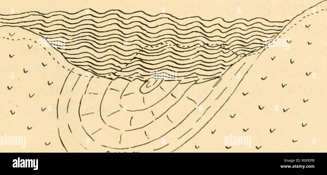 . Bulletin der geologischen Gesellschaft von Amerika. Geologie ...