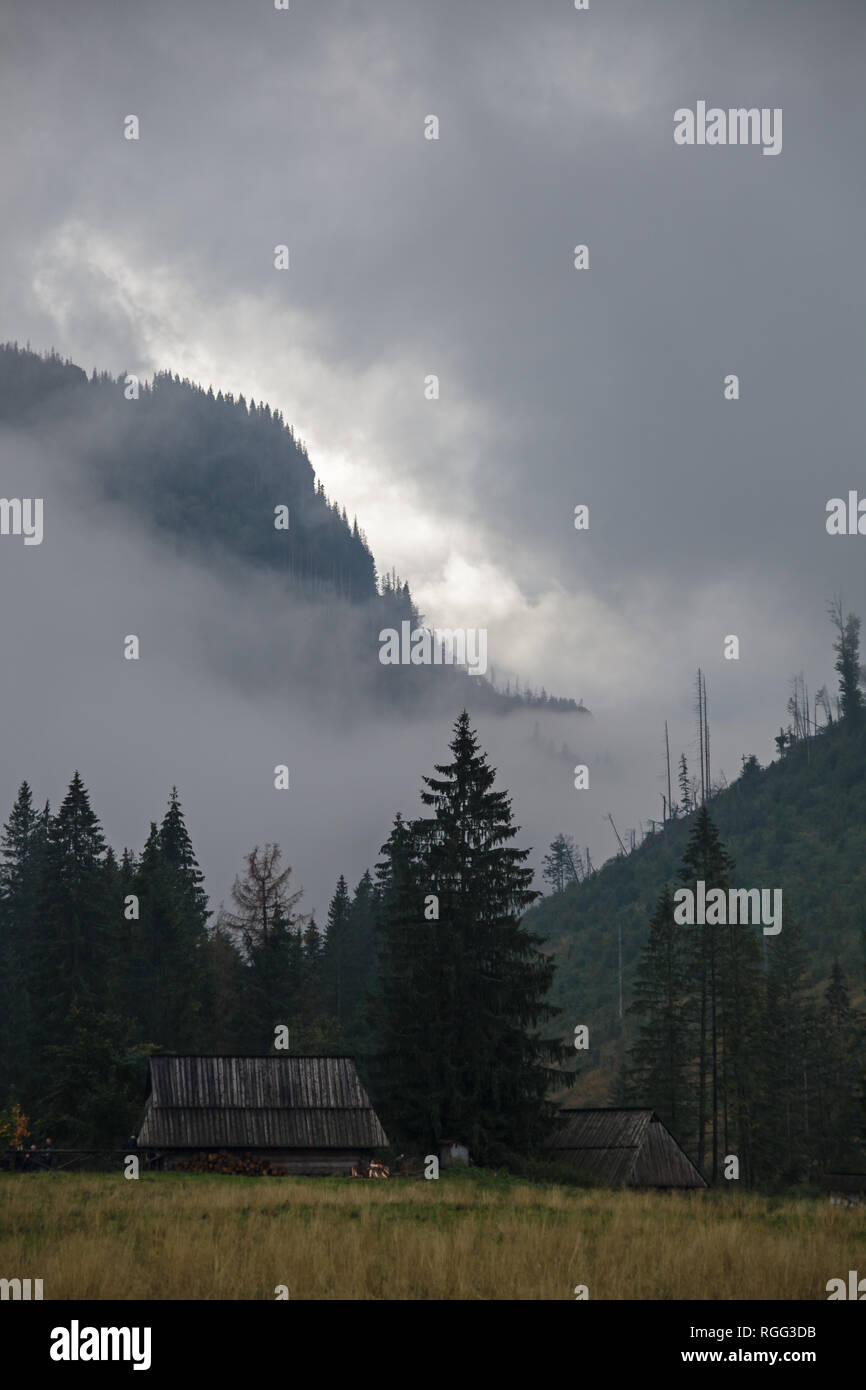 Baumbewachsener berghang -Fotos und -Bildmaterial in hoher Auflösung ...
