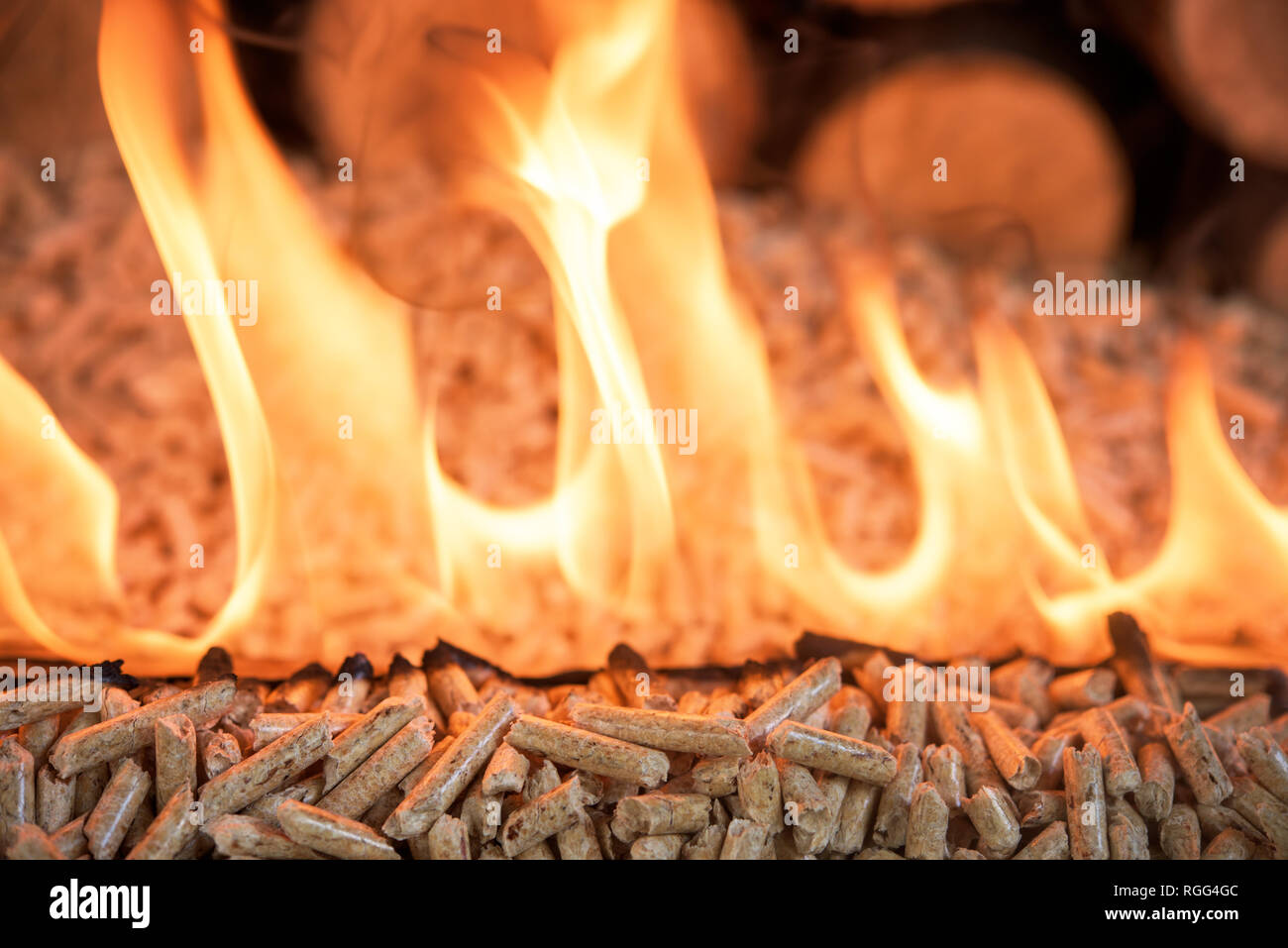 Verbrennung von Pellets - Eiche Holz- Biomasse in Flammen ...