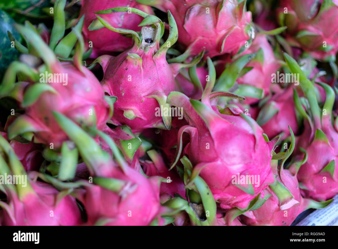 Chinese dragon fruit pitahaya -Fotos und -Bildmaterial in hoher ...