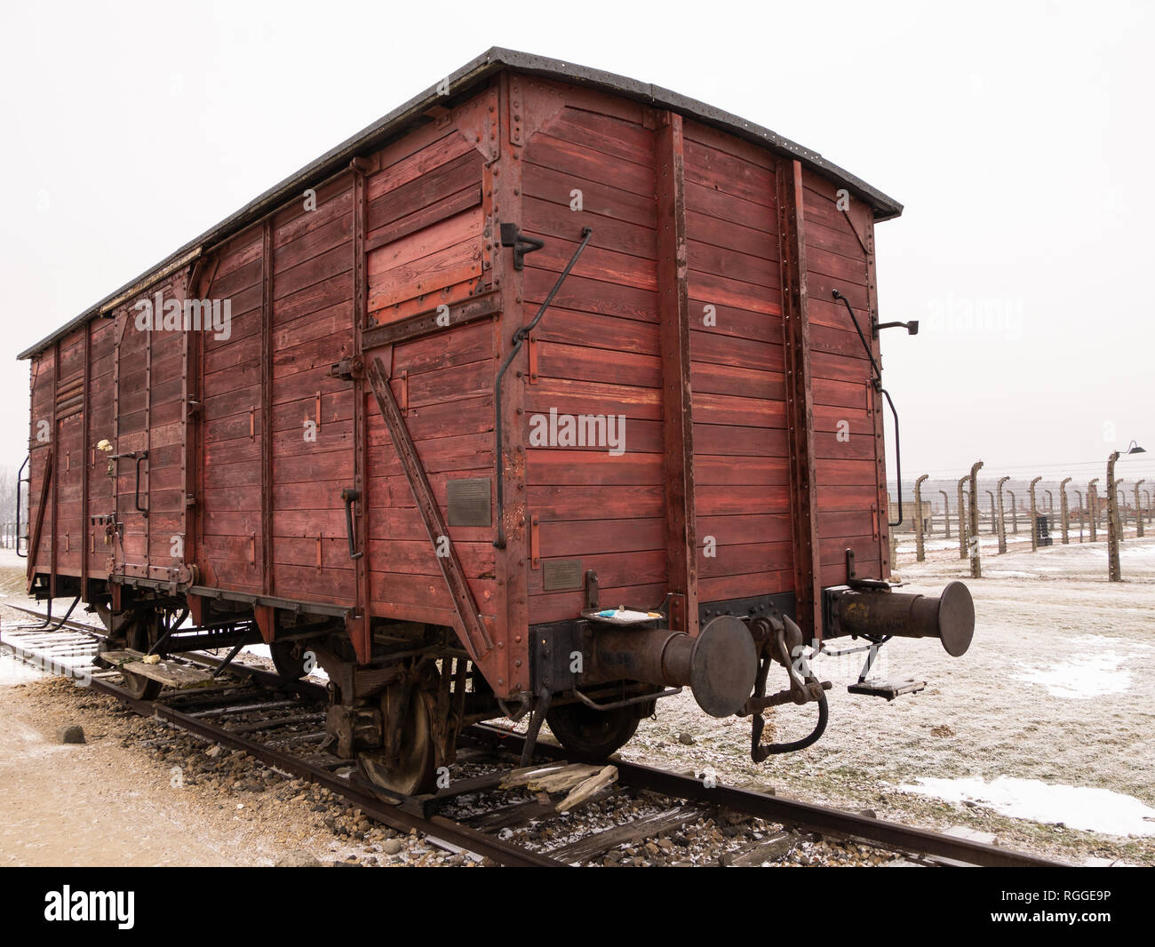 Eisenbahn, Viehtransporter, Transport, Auschwitz II Birkenau ...