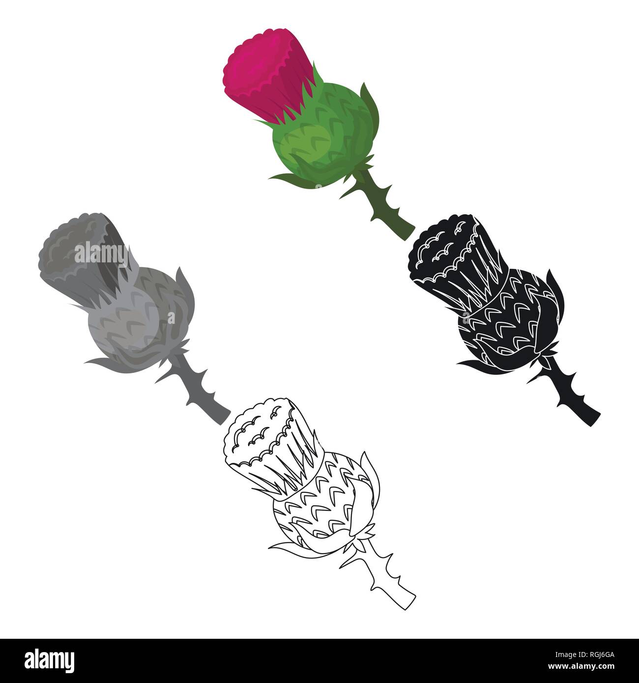 Kunst, August, blühen, Blüte, Knospe, Bush, Calluna, Cartoon, Celtic ...