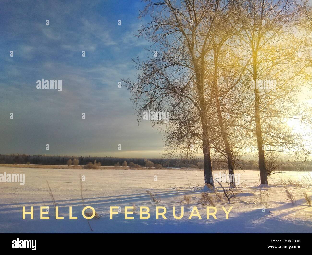 Hallo Februar Stockfotos & Hallo Februar Bilder - Alamy