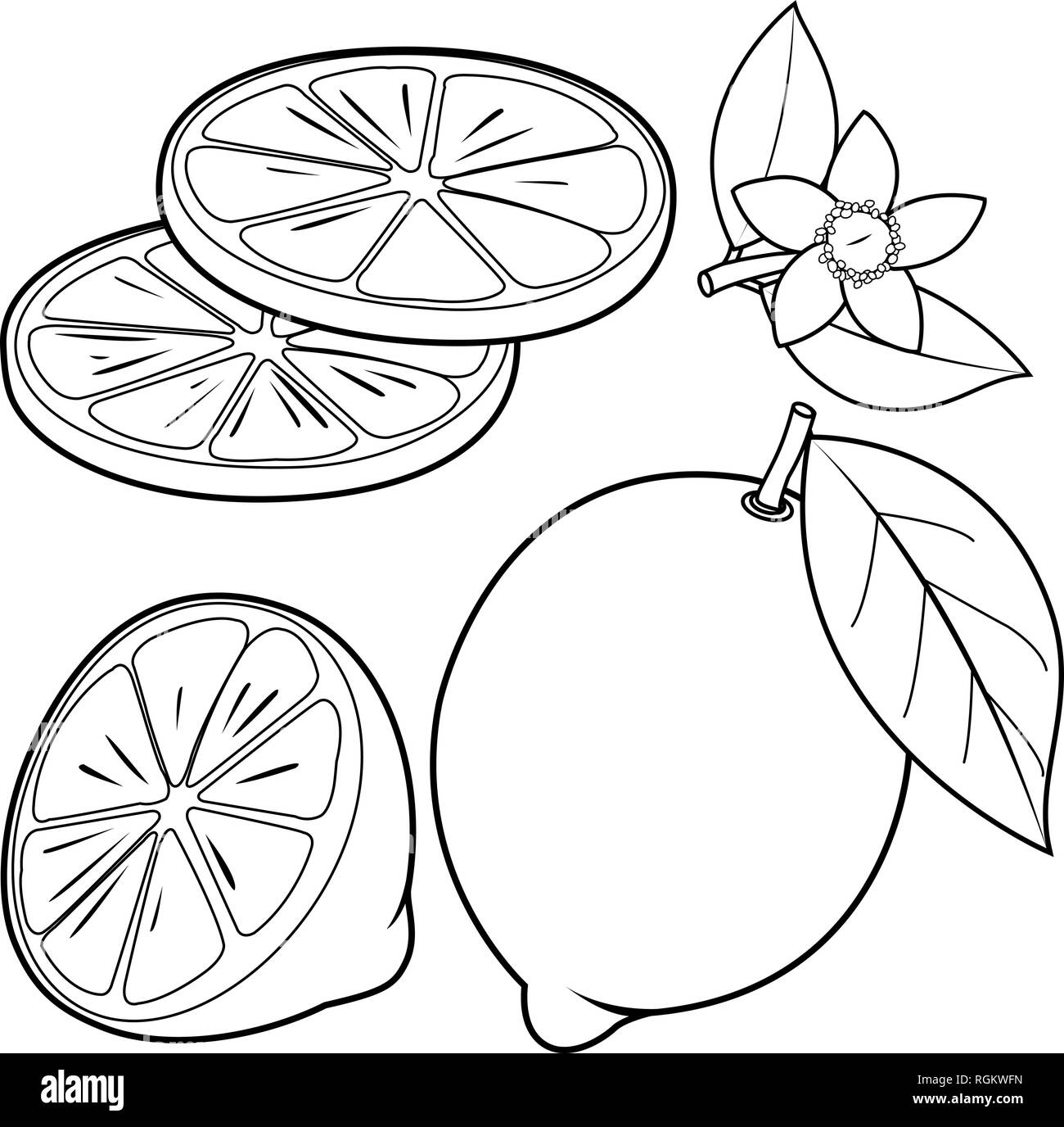 Libro da colorare al limone -Fotos und -Bildmaterial in hoher Auflösung ...
