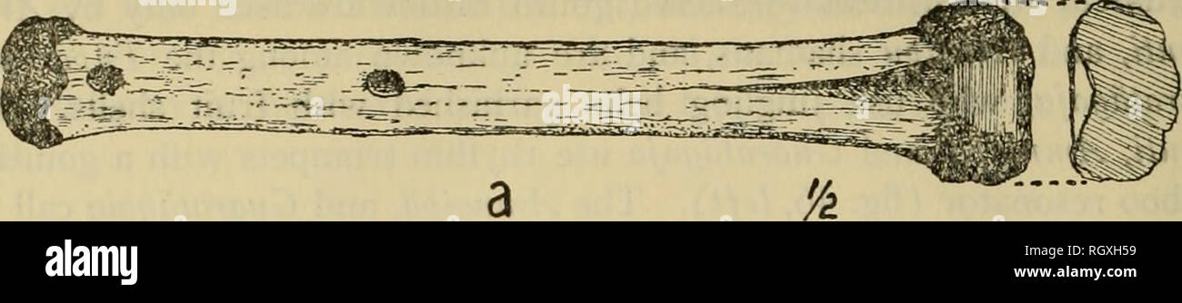. Bulletin. Ethnologie. 378 INDIOS [B.A.E. Bull. 143. Abbildung 48 ...