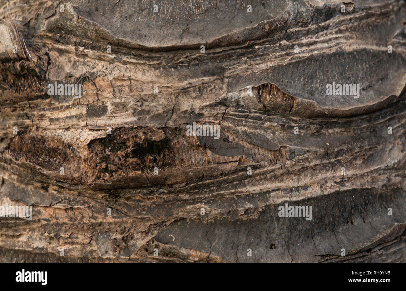Holz textur dunkel -Fotos und -Bildmaterial in hoher Auflösung – Alamy