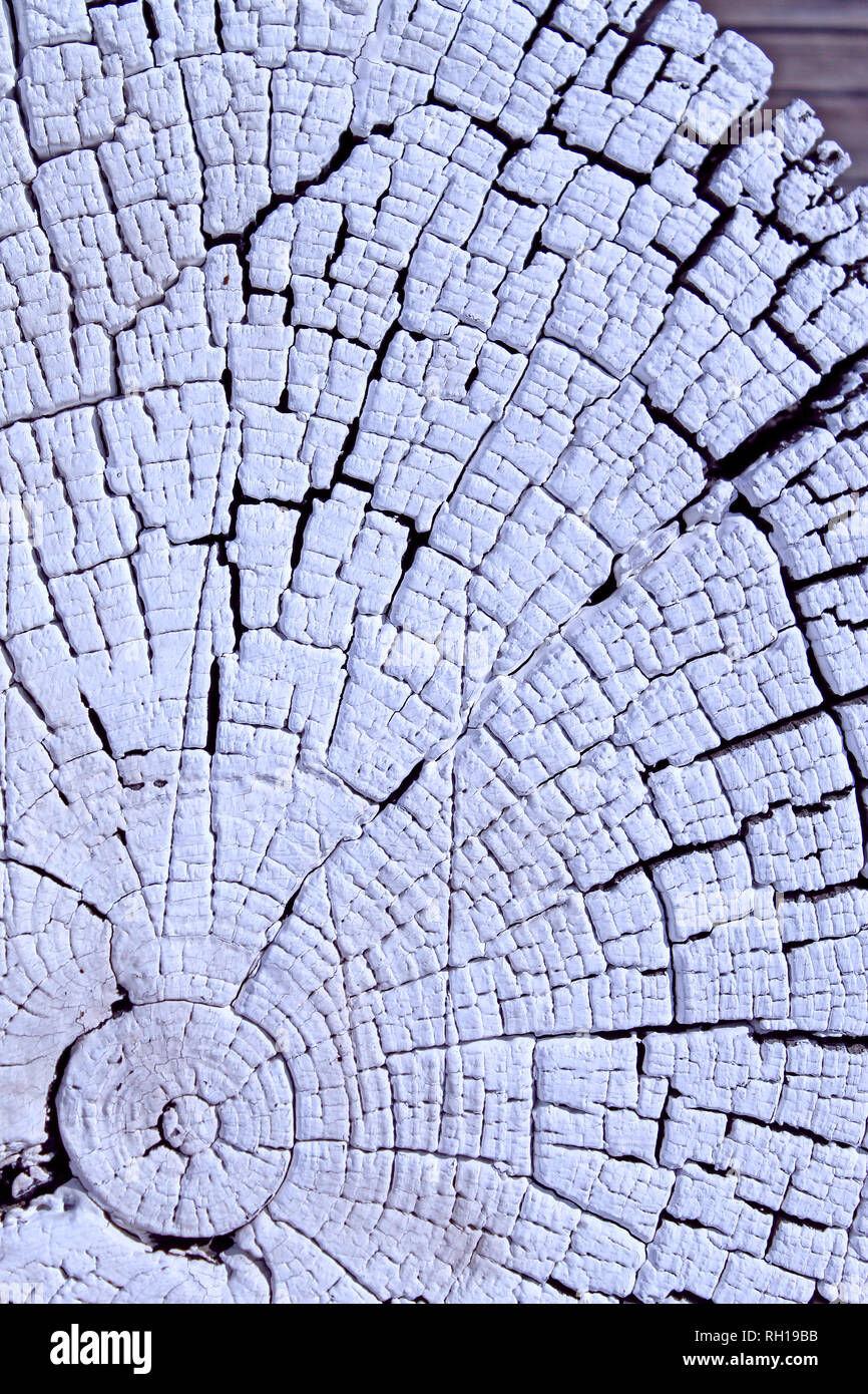 Wandfarbe querschnitt -Fotos und -Bildmaterial in hoher Auflösung – Alamy