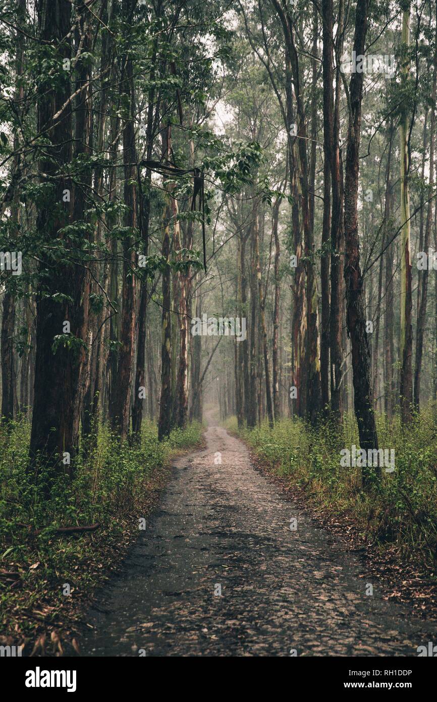 Der weg ist lang -Fotos und -Bildmaterial in hoher Auflösung – Alamy