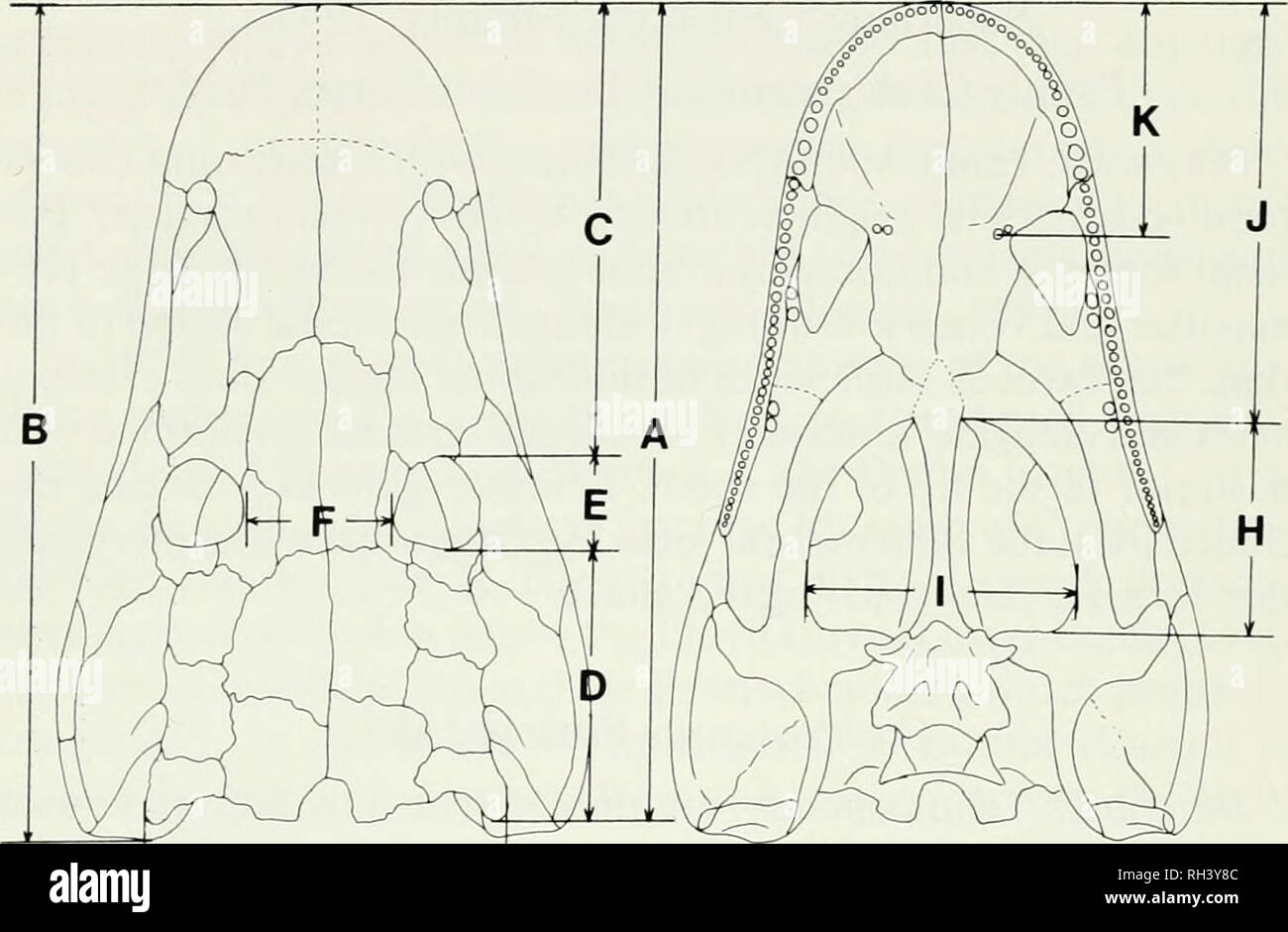 Nr 123 58 -Fotos und -Bildmaterial in hoher Auflösung – Alamy