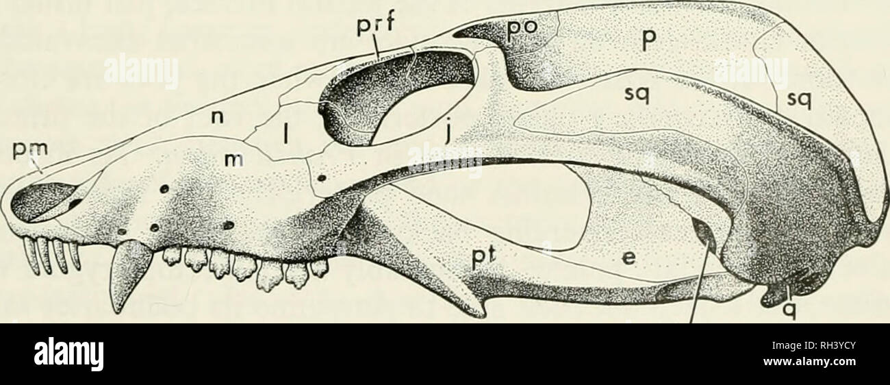 Hs ppf -Fotos und -Bildmaterial in hoher Auflösung – Alamy