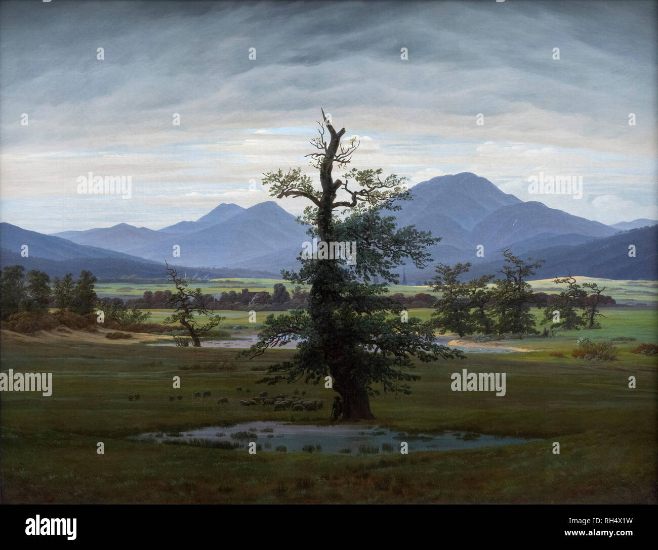 Caspar david friedrich baum -Fotos und -Bildmaterial in hoher Auflösung ...