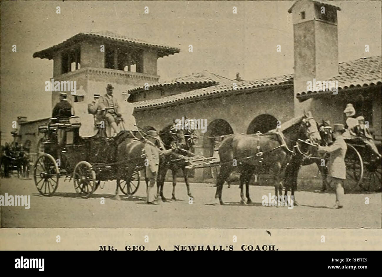 Stallion mating -Fotos und -Bildmaterial in hoher Auflösung - Seite 2 ...