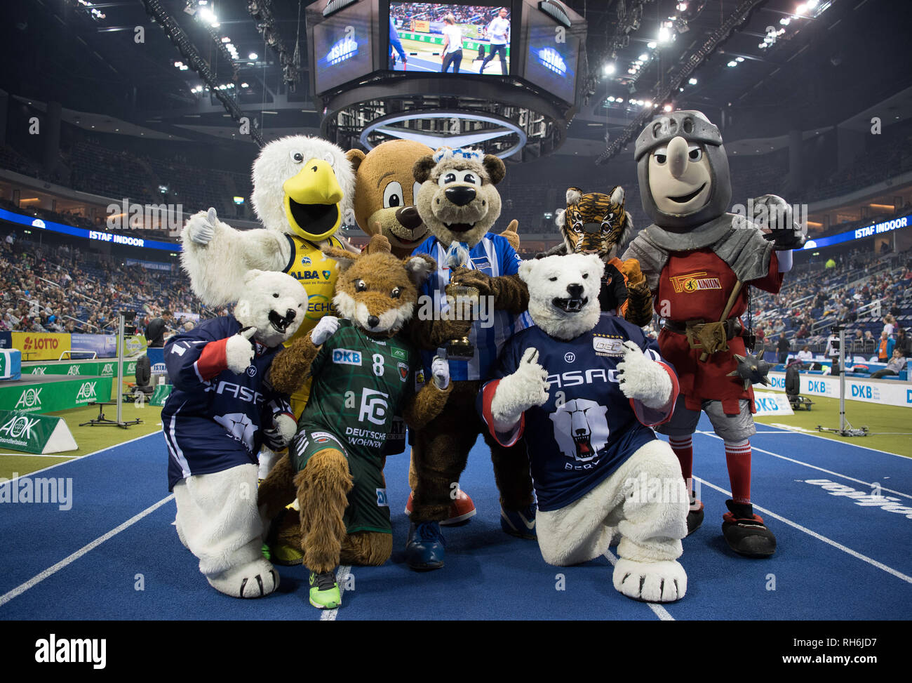 Berlin, Deutschland. 01 Feb, 2019. ISTAF Indoor, Maskottchen Rennen, 50 ...