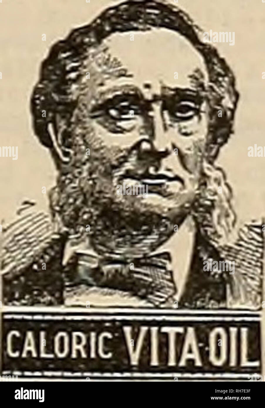 . Züchter und Sportler. Pferde. Die große Kalifornien Liniment Kuren ...