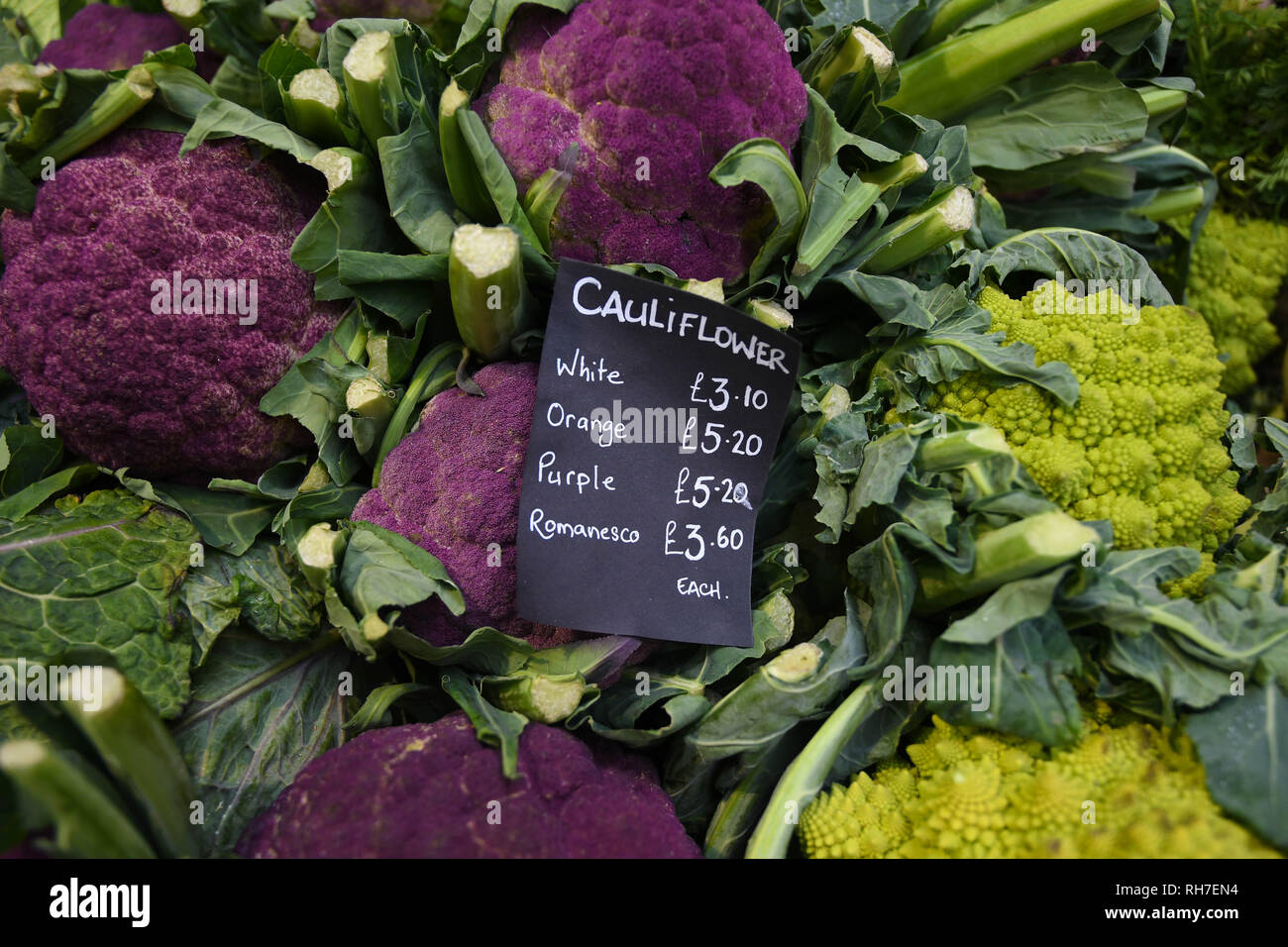 Lila blumenkohl -Fotos und -Bildmaterial in hoher Auflösung – Alamy