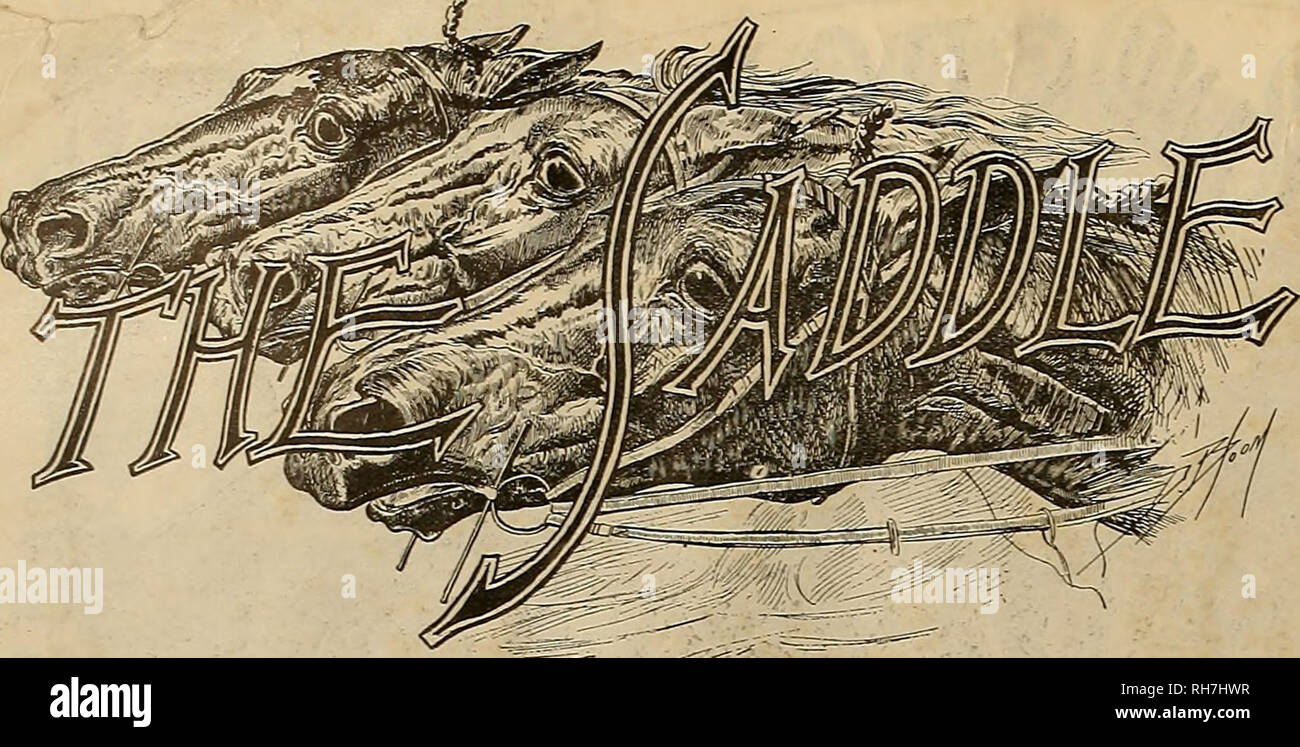 Po versohlen sohn -Fotos und -Bildmaterial in hoher Auflösung – Alamy