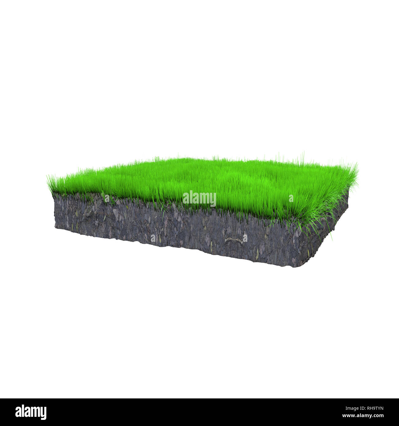 Cross Section Green Grass Underground Stockfotos und -bilder Kaufen - Alamy