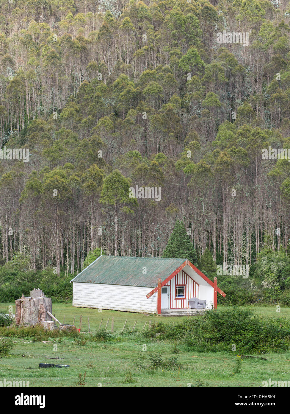 Das wharenui te ohaki -Fotos und -Bildmaterial in hoher Auflösung – Alamy