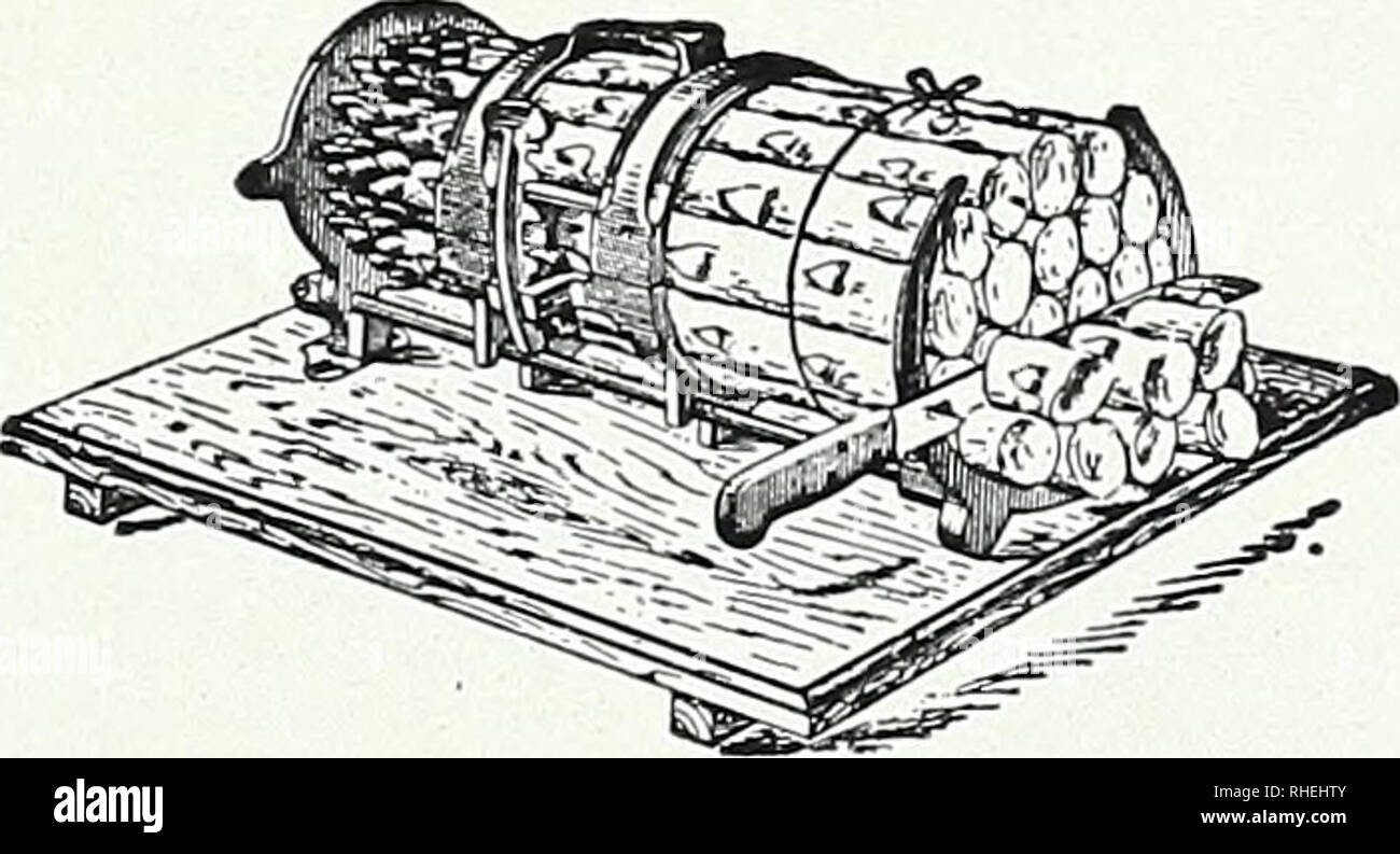 . Bolgiano's "John Baer" Tomaten. Samen Maryland Baltimore Kataloge ...