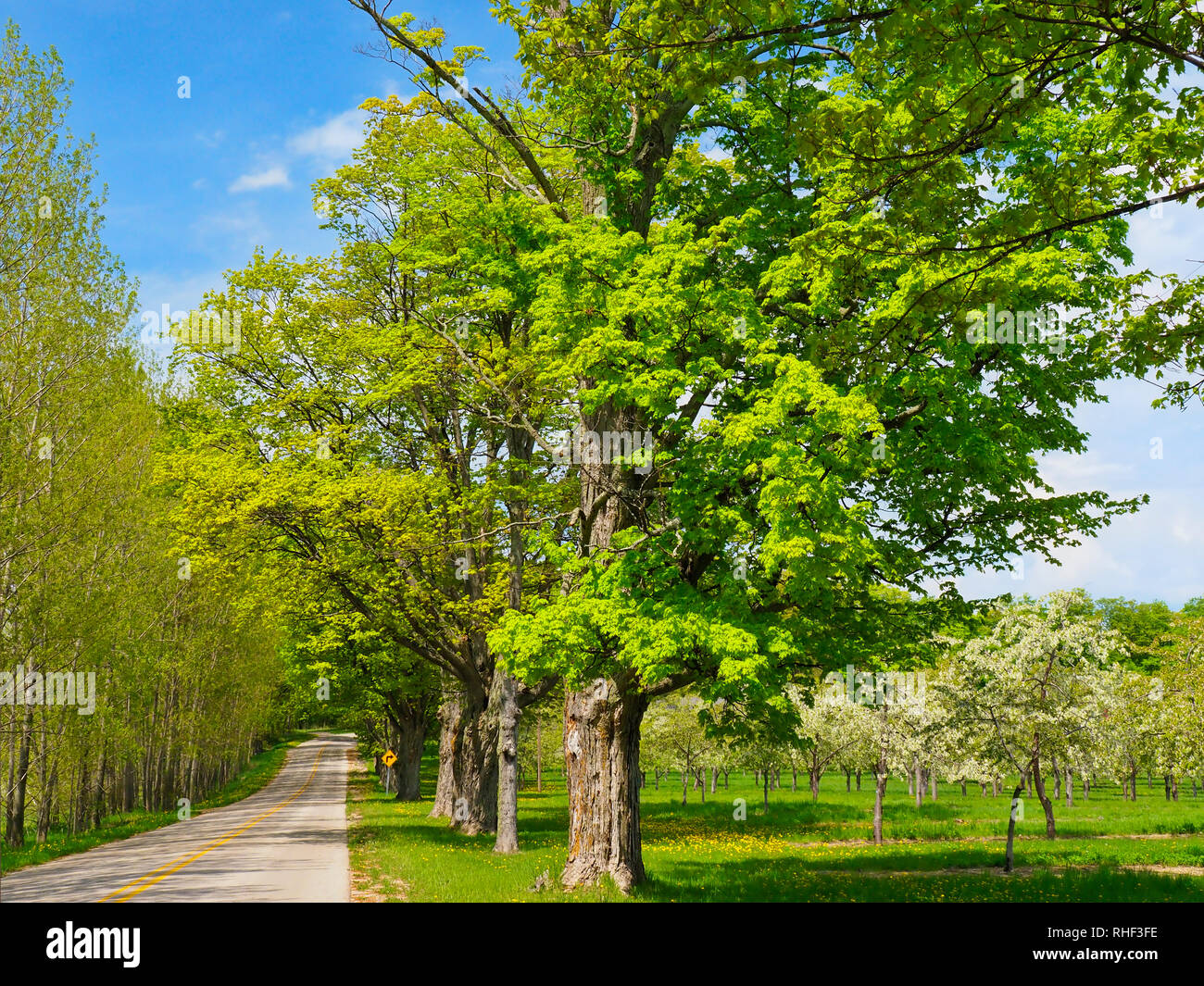 Cherry orchard michigan -Fotos und -Bildmaterial in hoher Auflösung – Alamy