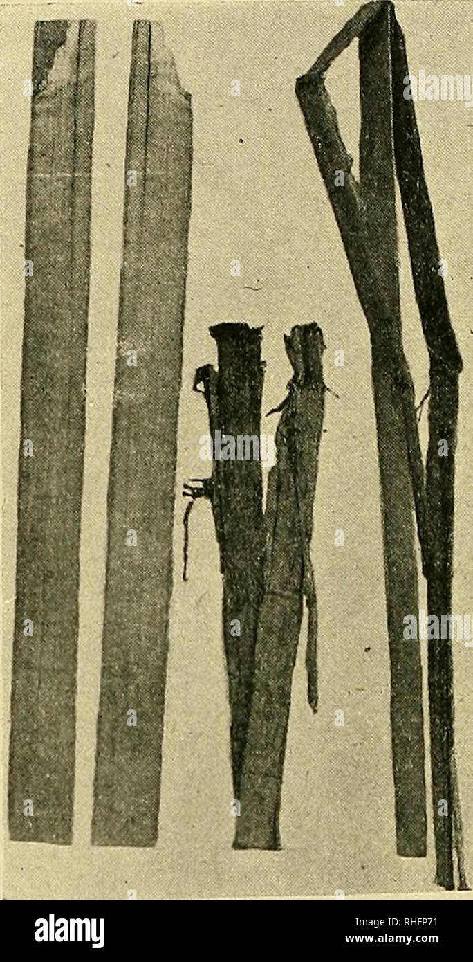 Tableros tableros -Fotos und -Bildmaterial in hoher Auflösung – Alamy