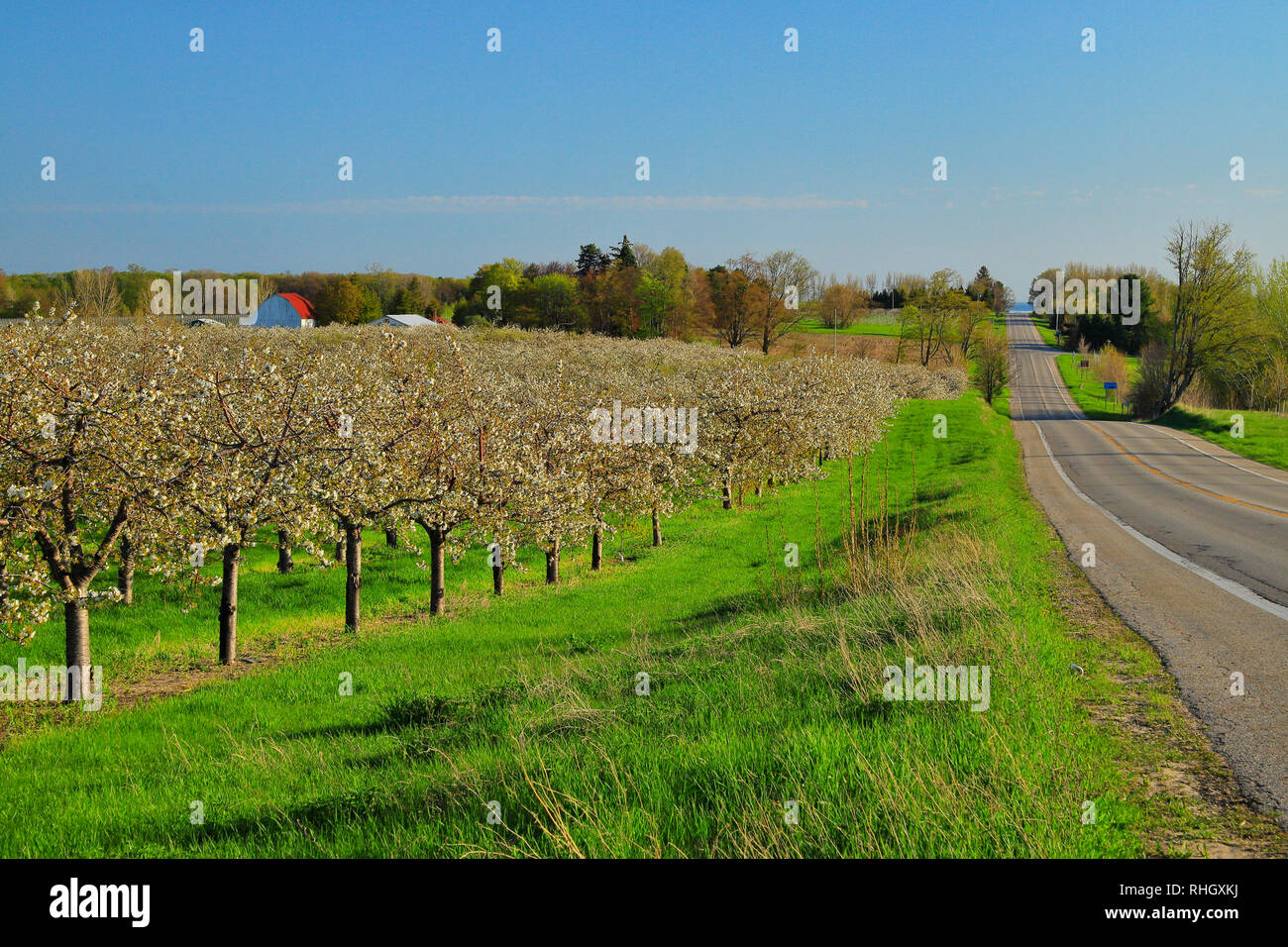 Cherry orchard michigan -Fotos und -Bildmaterial in hoher Auflösung – Alamy