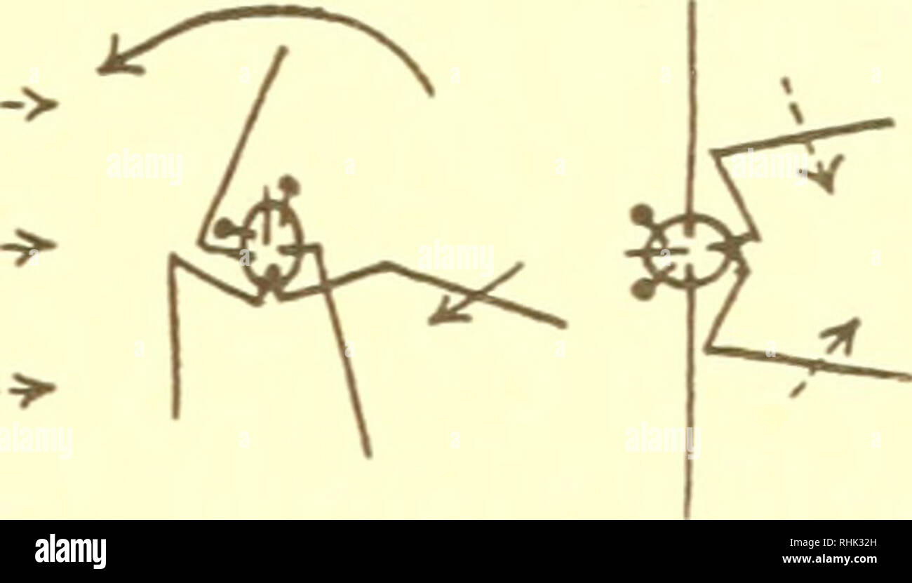 Rvb sehen -Fotos und -Bildmaterial in hoher Auflösung – Alamy