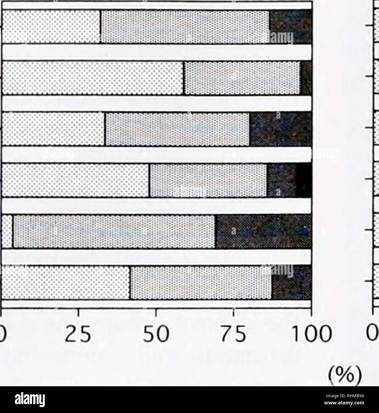 4 androstendion -Fotos und -Bildmaterial in hoher Auflösung – Alamy