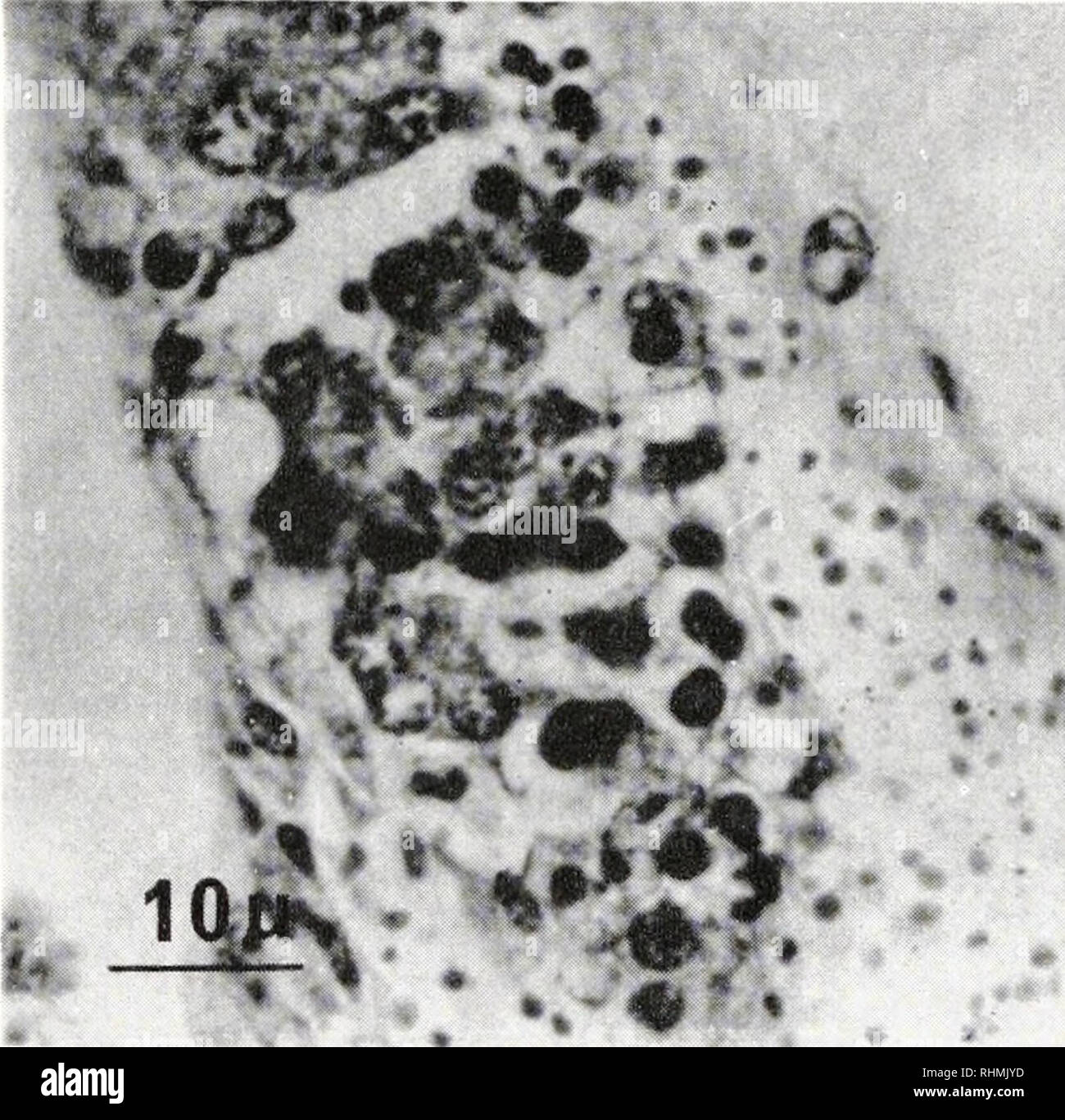 Allgemein schlechter zustand -Fotos und -Bildmaterial in hoher ...